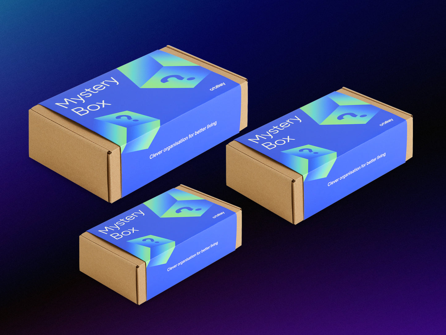 Shop Organization Accessories Online | Orbitkey